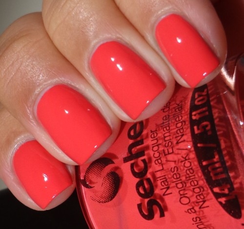 Seche Coral - Of Life and Lacquer
